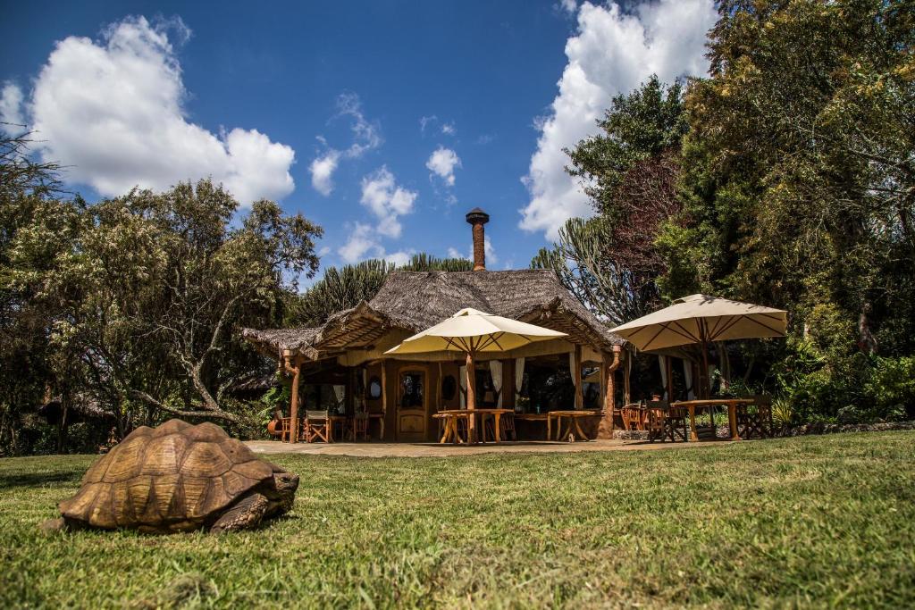 CHUI LODGE - Bountiful Safaris