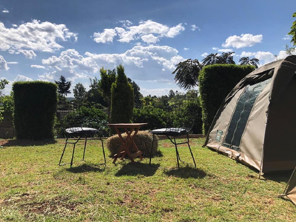 Full Day Experience at Lesioi Farm Limuru & Brown Cheese Farm ...
